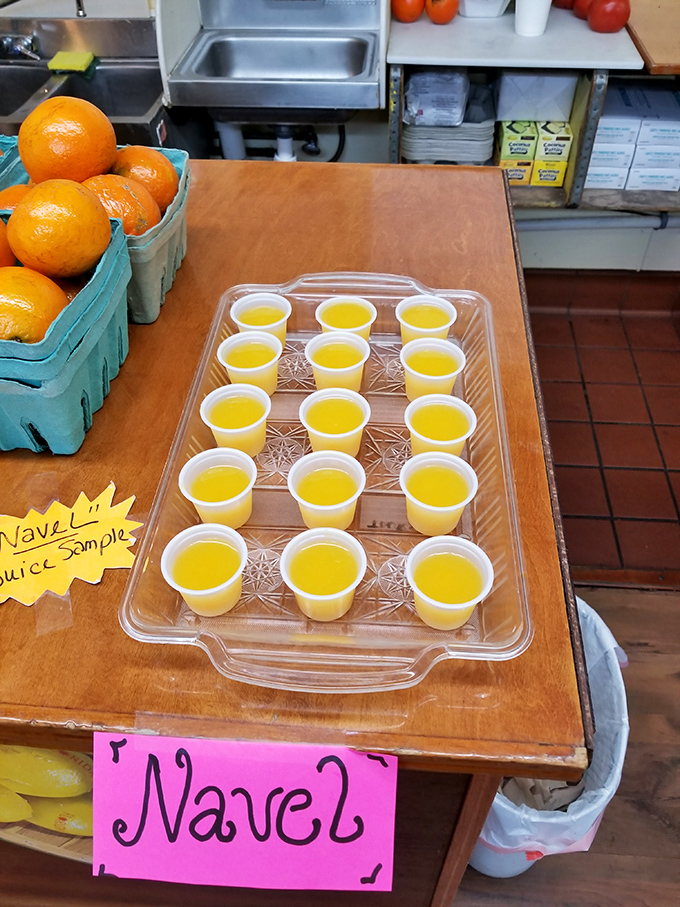 Fresh-squeezed orange juice samples lined up like liquid sunshine, proving Florida knows what to do with its citrus bounty.