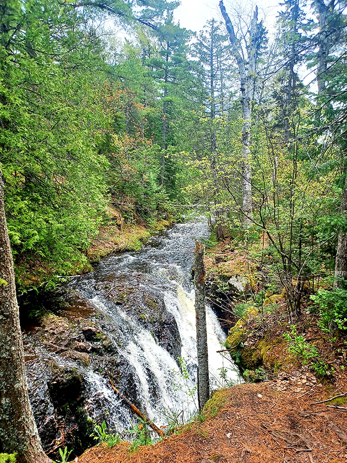Manganese Falls cascades through ancient rock formations, proving that Mother Nature was designing Instagram-worthy spots long before Instagram existed.