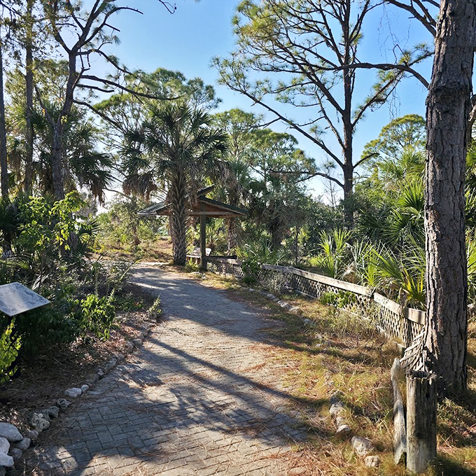 Nature trails wind through old Florida landscapes where pines and palms have been gossiping about the weather for centuries.