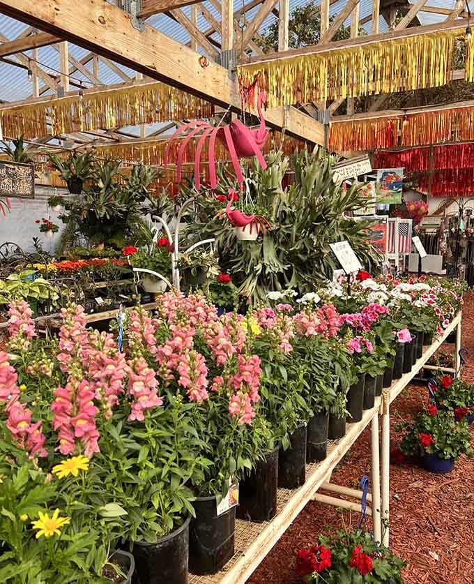 The flower selection adds a pop of color for those who want beauty they can't eat.