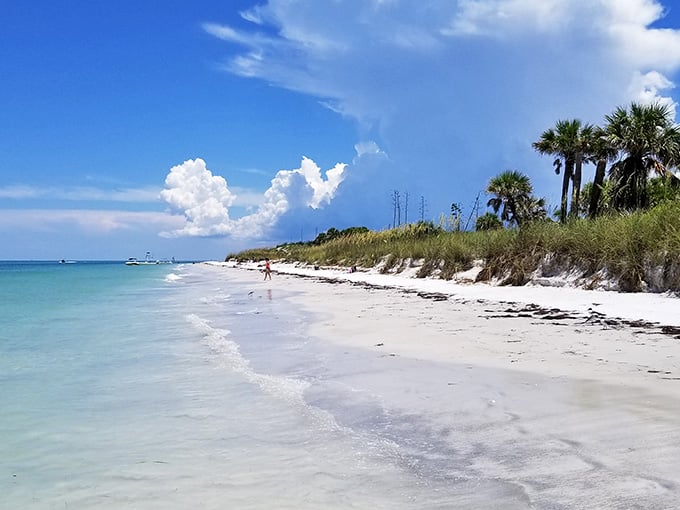 Palm trees and pristine shoreline stretching as far as you can see, because sometimes Florida really does look like the postcards promised.