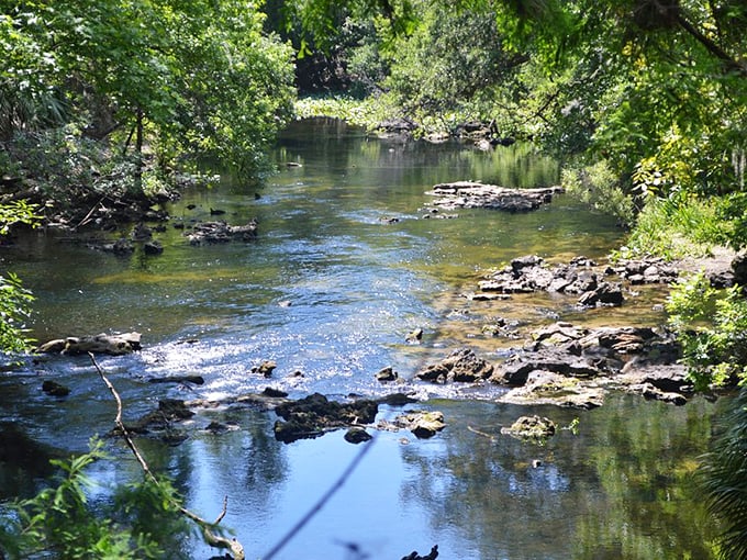 The river's shallow sections reveal limestone secrets millions of years in the making&mdash;Florida's geological autobiography written in stone.