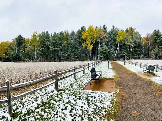 Winter transforms the site into a serene wonderland, benches patiently waiting for spring visitors under a dusting of snow.