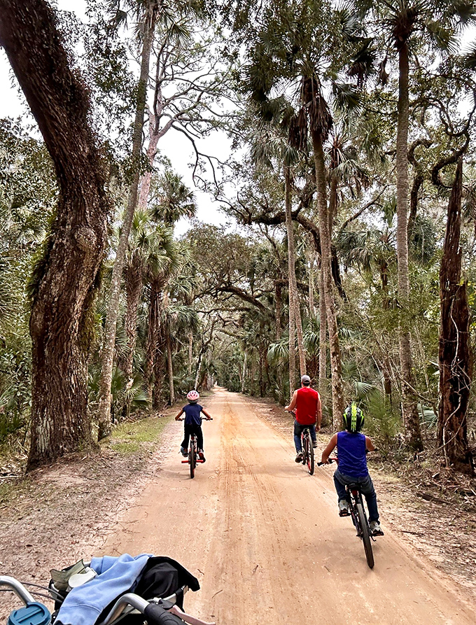 Who needs a time machine when you've got bicycles? Family adventure meets historical exploration on these scenic trails.