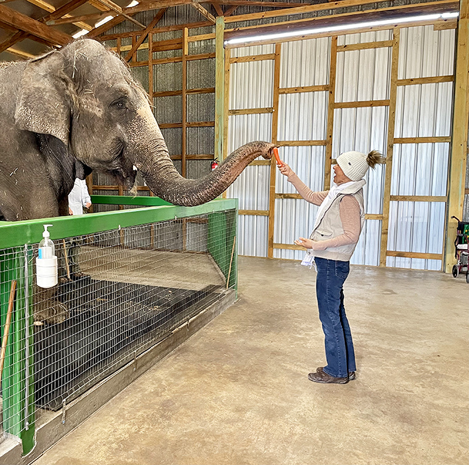 The ultimate interactive experience &ndash; feeding time creates memories that last long after the banana is gone!