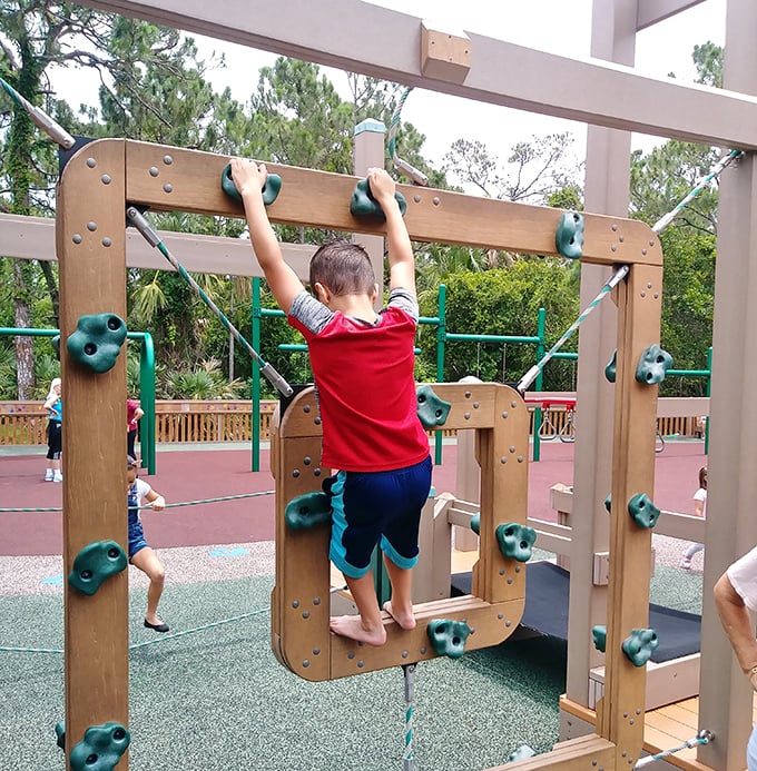 Future American Ninja Warriors in training! These climbing grips develop upper body strength while kids think they're just having the time of their lives.