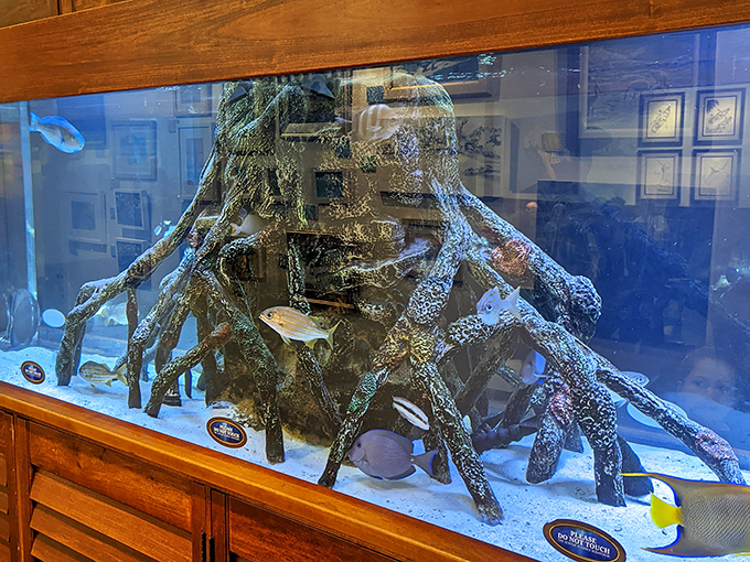 The showstopping aquarium at RumFish Grill turns dinner into dinner-and-a-show, where fish swim by as you contemplate which of their cousins to order.