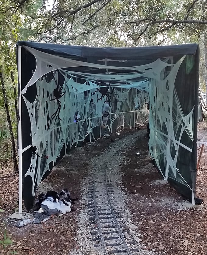 Halloween transforms ordinary passages into spooky adventures, with this web-covered tunnel striking the perfect balance between "delightfully creepy" and "won't traumatize the children."