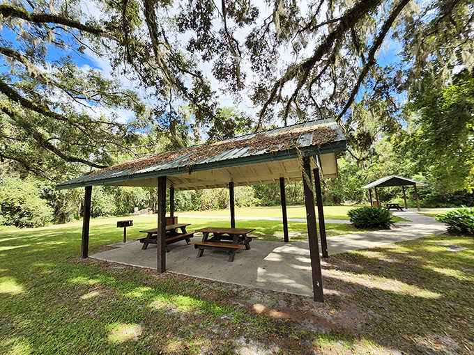 Perfect for a family picnic or romantic lunch, these sheltered tables invite visitors to linger and soak in the natural surroundings.
