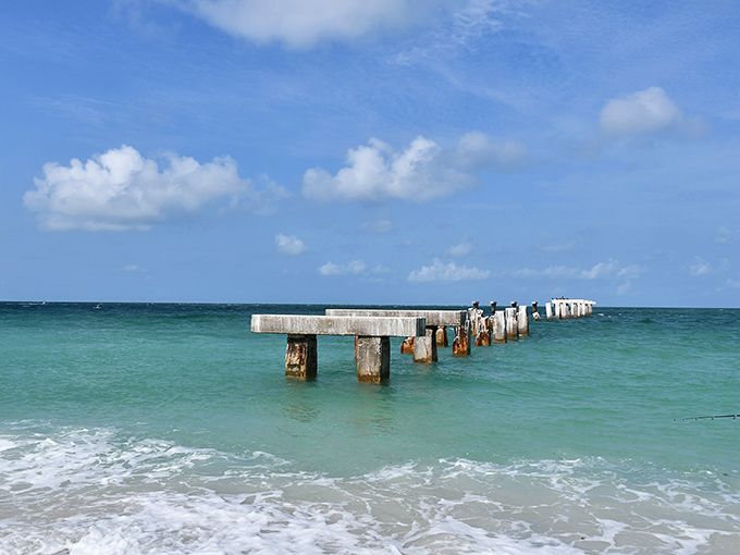 Nature slowly reclaims this weathered pier, creating a hauntingly beautiful spot where fishermen still cast lines into the emerald depths below.