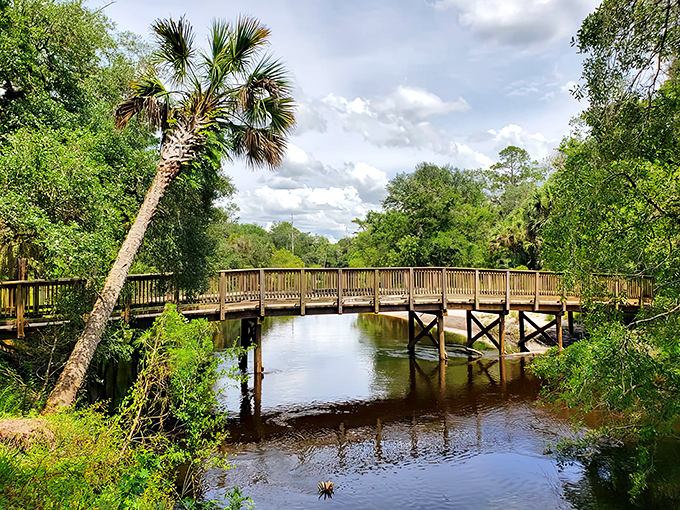 This wooden bridge isn't just crossing water &ndash; it's spanning the gap between your everyday life and pure natural bliss.