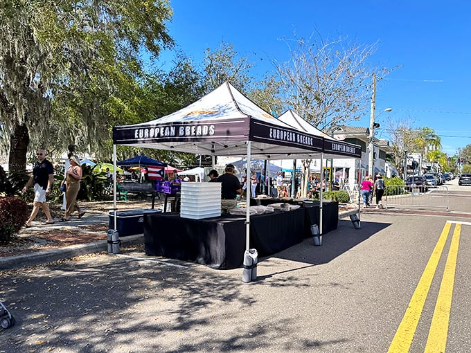 Mount Dora Village Market showcases local produce and artisanal goods in a quaint setting that captures the town's historic charm.