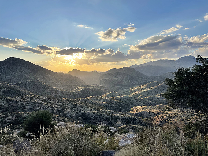 Watching the sun dip behind the rolling hills of Mount Lemmon provides a golden glow that makes Arizona evenings truly magical.