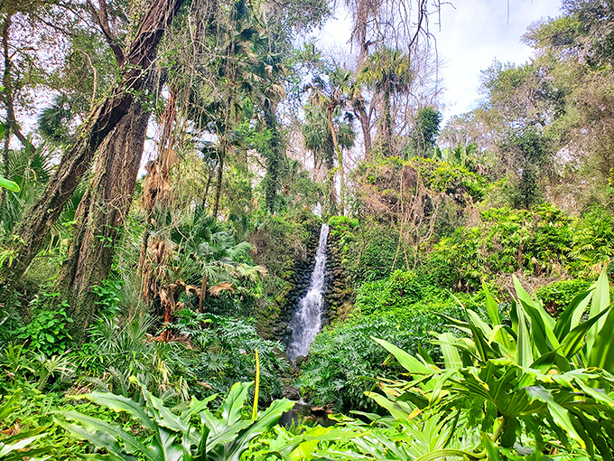 Rainbow Springs' man-made waterfalls tumble over moss-covered rocks, blending so naturally you'd never guess they weren't original.