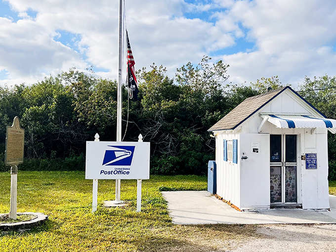 America's smallest post office stands proudly in Ochopee, a tiny white building that serves three Florida counties.
