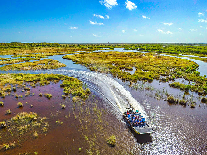 An airboat slices through the Everglades like a hot knife through butter, leaving adventure in its wake.