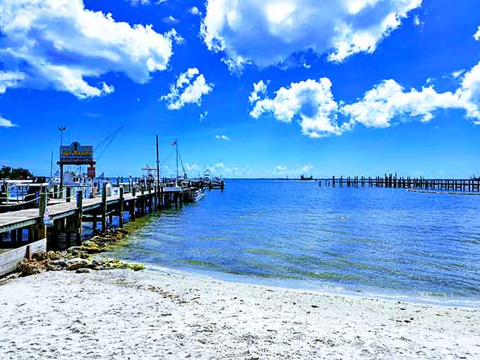 Soak up the sunshine at Capt. Hiram&rsquo;s in Sebastian, where sandy shores and peaceful river views create the ultimate Florida escape.