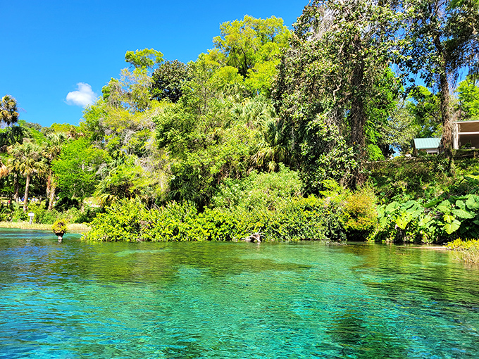 The lush shoreline at K.P. Hole frames waters of impossible clarity. This is what happens when Mother Nature decides to show off!