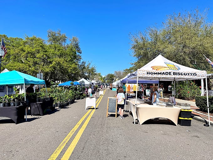 Visitors explore Mount Dora's market stalls featuring homemade biscotti and other artisanal treats in this charming Central Florida town.
