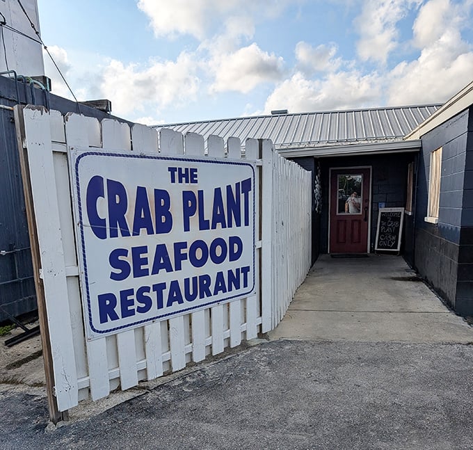 What this no-frills exterior lacks in flash, it makes up for with some of Crystal River's freshest seafood served with water views.
