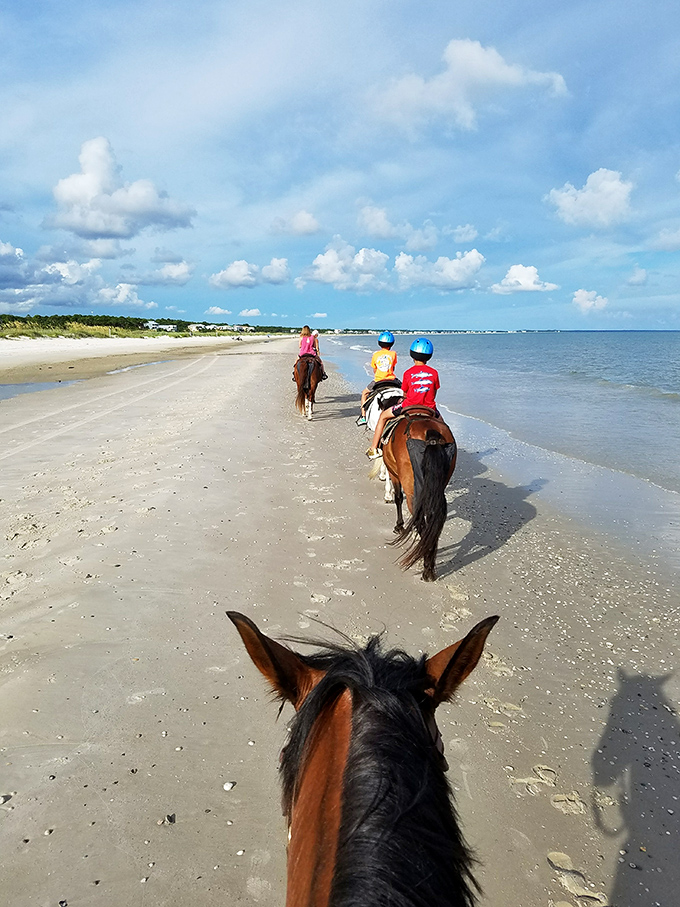 From this perspective, you can almost feel the gentle rhythm of hooves on sand and hear the soothing soundtrack of waves.