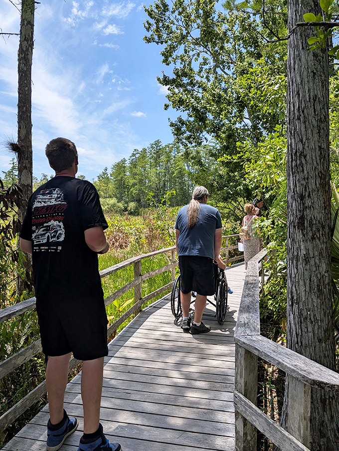 The boardwalk becomes a bridge between worlds, connecting human curiosity with nature's ancient rhythms in perfect harmony.
