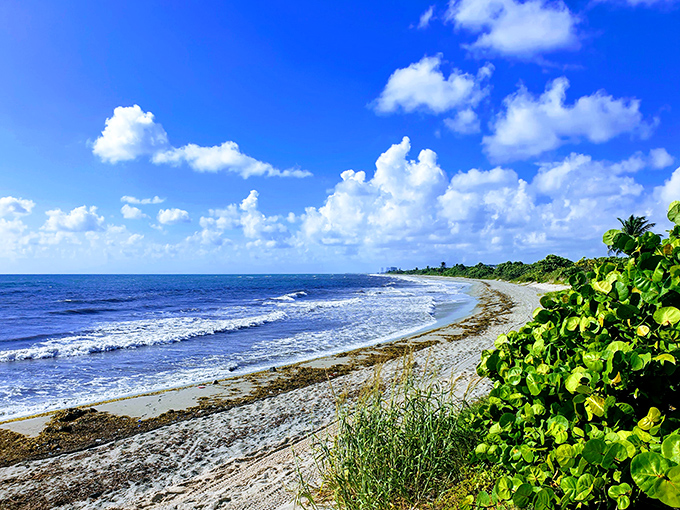 Postcard-perfect coastline stretches toward the horizon &ndash; the kind of beach view that makes snowbirds extend their stay indefinitely.