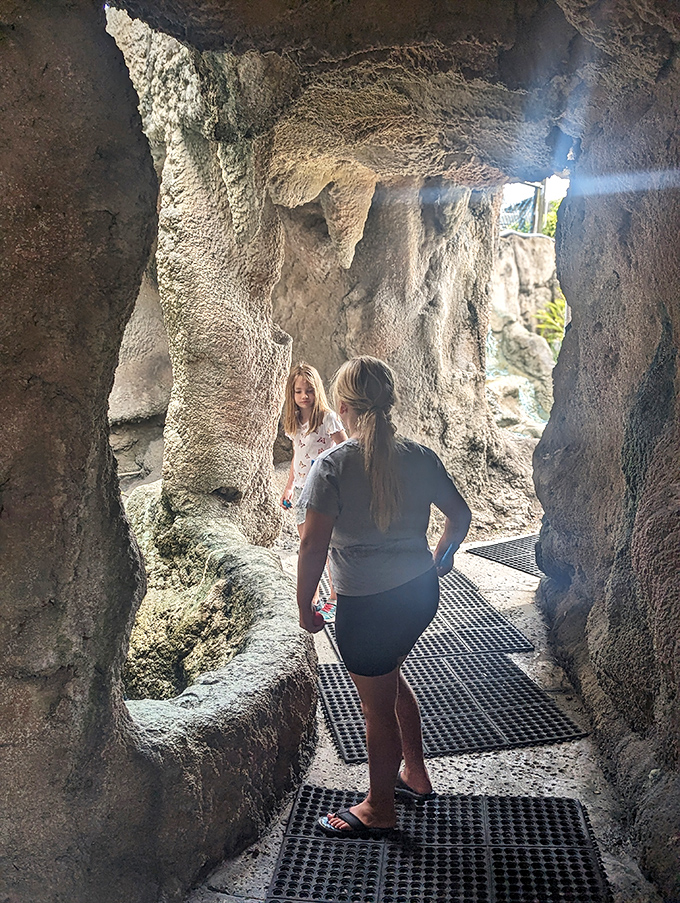Cave adventures await the brave! These rocky passages offer cool shade, mysterious ambiance, and the perfect excuse for why your ball went completely off course.