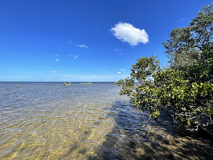 Crystal-clear shallows reveal the sandy bottom while distant kayakers explore the preserve's waterways.