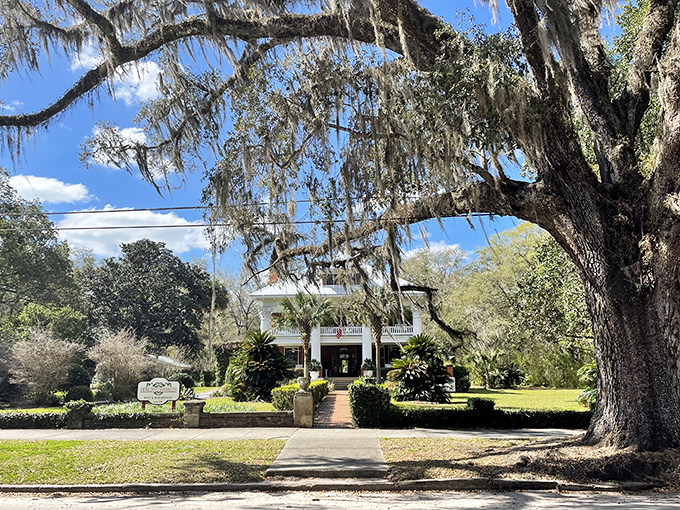 The stately Herlong Mansion stands as elegant proof that Southern grandeur and hospitality aren't just concepts in novels &ndash; they're alive in Micanopy.
