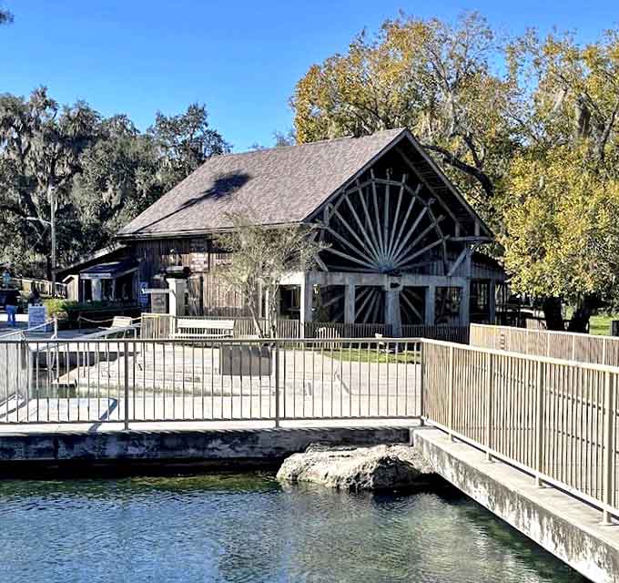 House Pavilion: This historic structure stands sentinel at the water's edge, a reminder of Florida's past before Mickey Mouse was even a sketch.