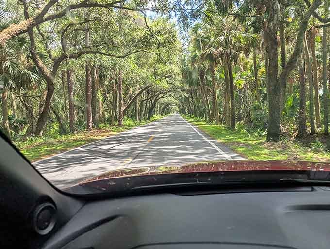 The best windshield entertainment money can't buy: a front-row seat to Mother Nature's greatest hits album.