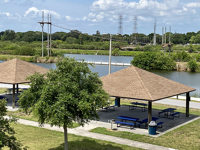 Mobbly Bayou Wilderness Preserve &ndash; where picnic pavilions meet wilderness adventures in perfect Florida harmony.