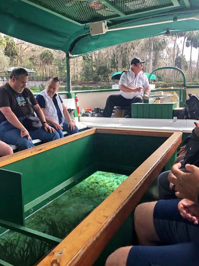 Tour passengers peer through the glass bottom at an underwater world that's more entertaining than most streaming services, and the subscription is just the price of admission.