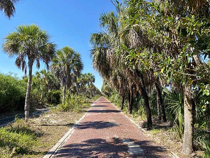 Shaded pathways wind through the island like nature's own guided tour, minus the annoying person talking too loud in the back.