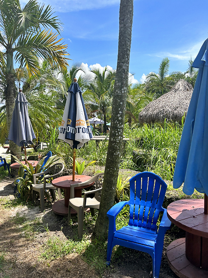 Colorful Adirondack chairs invite weary swimmers to pause and soak in the surroundings, Corona umbrellas providing welcome shade.