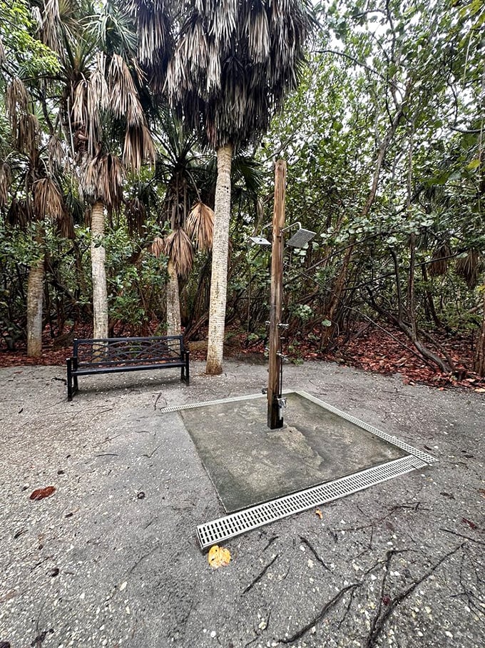 After a salty beach adventure, this shower station offers sweet relief, though nothing can wash away the memories of those magnificent tree tunnels.