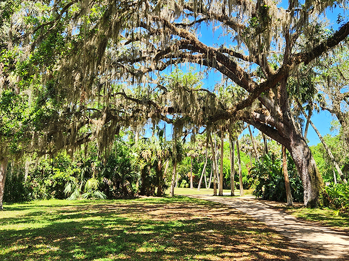 Nature's own decorative touch transforms ordinary branches into extraordinary living art installations.