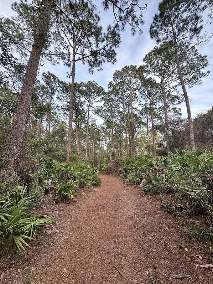 Summer brings lush greenery that makes you forget you're minutes from the city, not hours deep into wilderness.