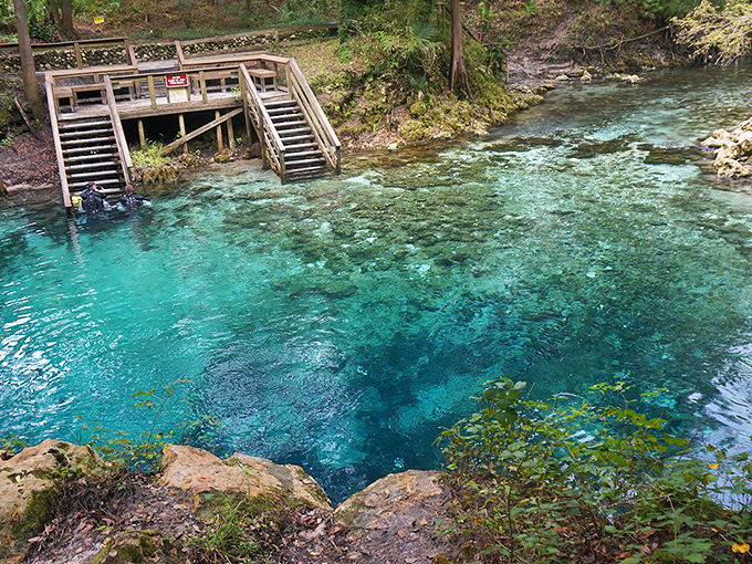 Spring Head Stairs: Descend into Blue Spring's aquamarine heart, where wooden steps lead to nature's most perfect swimming hole.