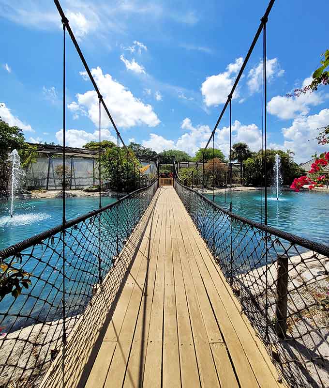 The suspension bridge offers views that make you feel like you're walking through a nature documentary.