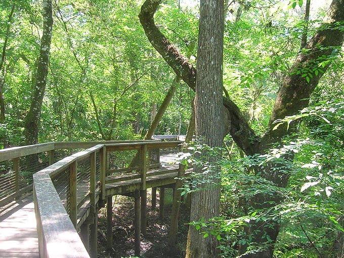 This boardwalk doesn't lead to cotton candy and carnival games, but something infinitely better: an intimate conversation with old Florida.