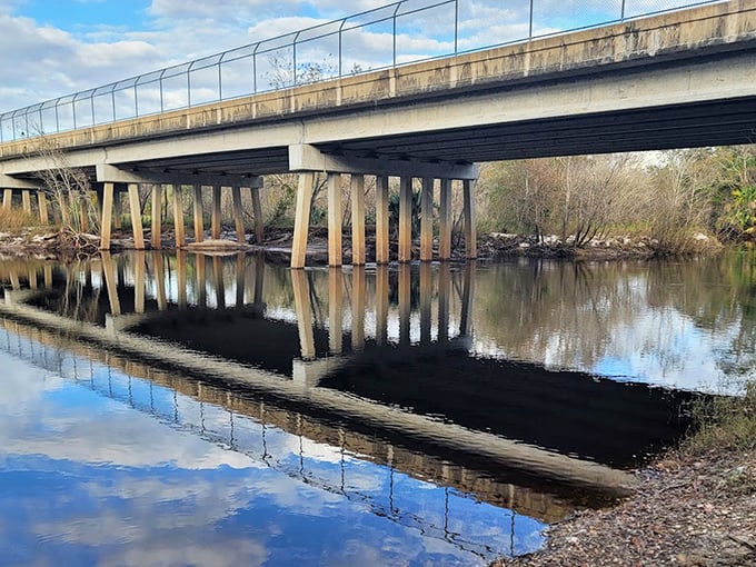 This bridge isn't just crossing water; it's spanning the gap between our busy lives and nature's timeless rhythm.