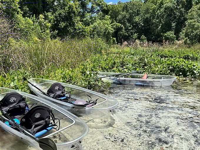 Ready for adventure: These transparent vessels await their next explorers, like glass slippers for modern-day aquatic Cinderellas.