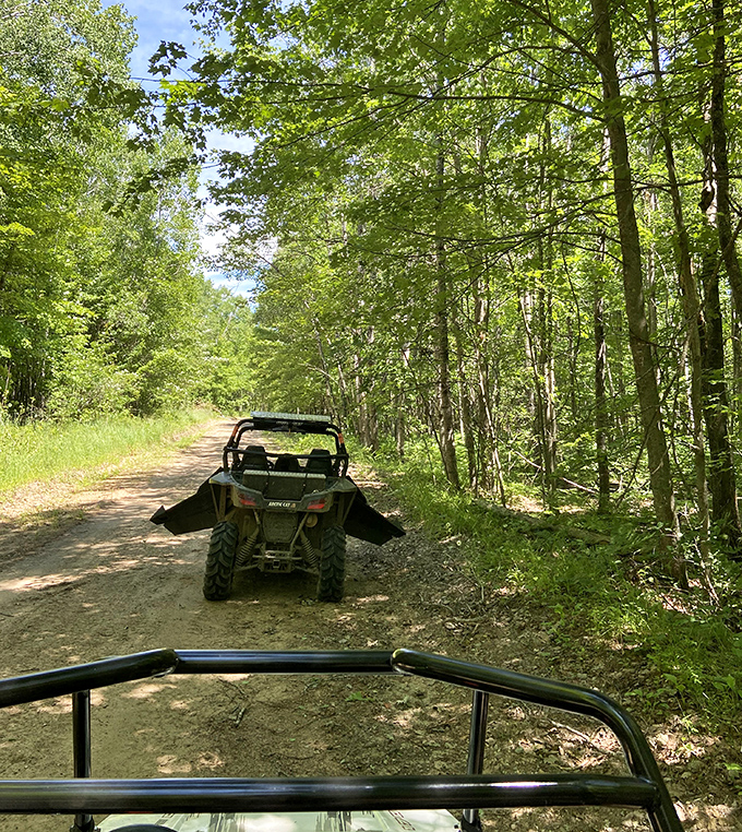 Adventure awaits around every bend on these forest trails, no GPS required, just curiosity.
