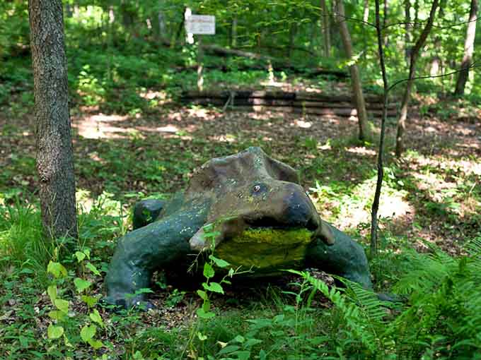 A moss-covered amphibian crouches in the undergrowth, blending surprisingly well with its natural surroundings.