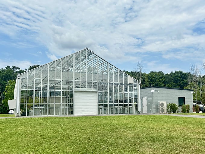 A modern greenhouse stands like a crystal palace, housing botanical treasures and proving that architecture and nature make perfect partners.