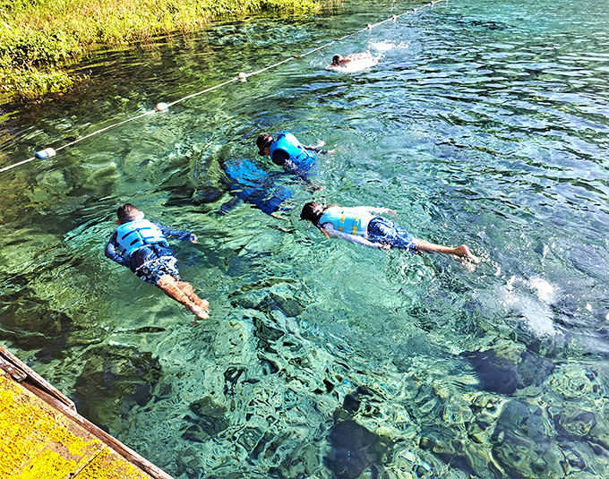 Kids discovering the joy of crystal-clear spring water. Creating childhood memories that'll outlast any video game achievement.
