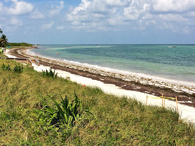 A perfect lawn meets the sea, proving that sometimes the best landscaping decision is simply framing nature's masterpiece.