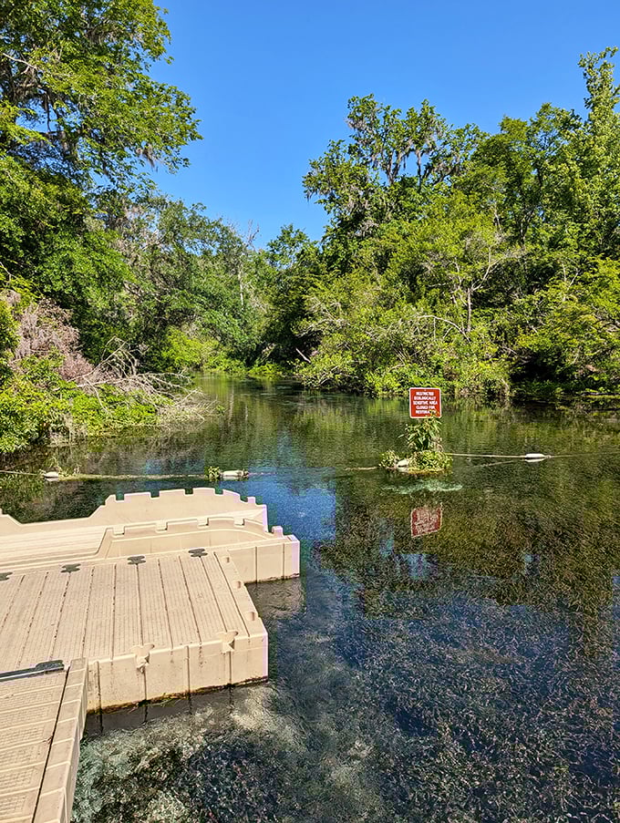 Dock of dreams: This floating platform offers front-row seats to Mother Nature's greatest water show.